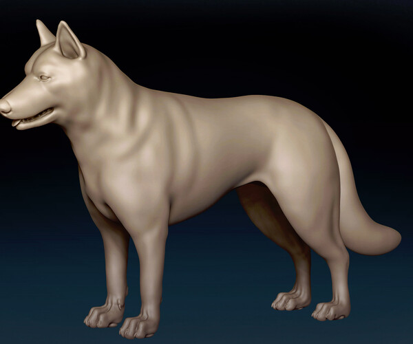 ArtStation - Siberian Husky Basemesh 3D model | Resources