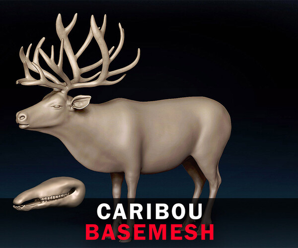 ArtStation - Caribou Basemesh 3D model | Resources
