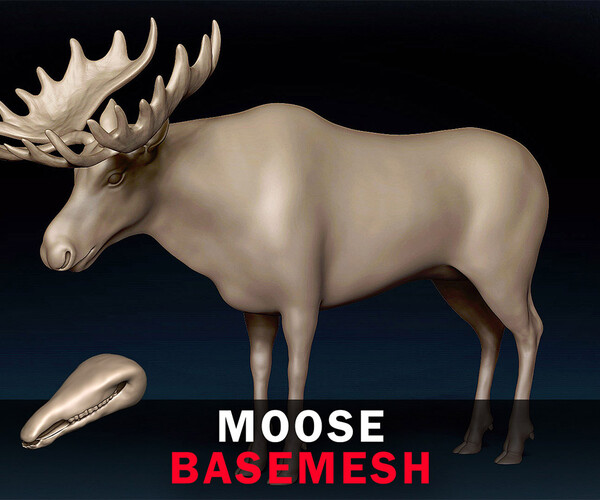 ArtStation - Moose Basemesh 3D model | Resources