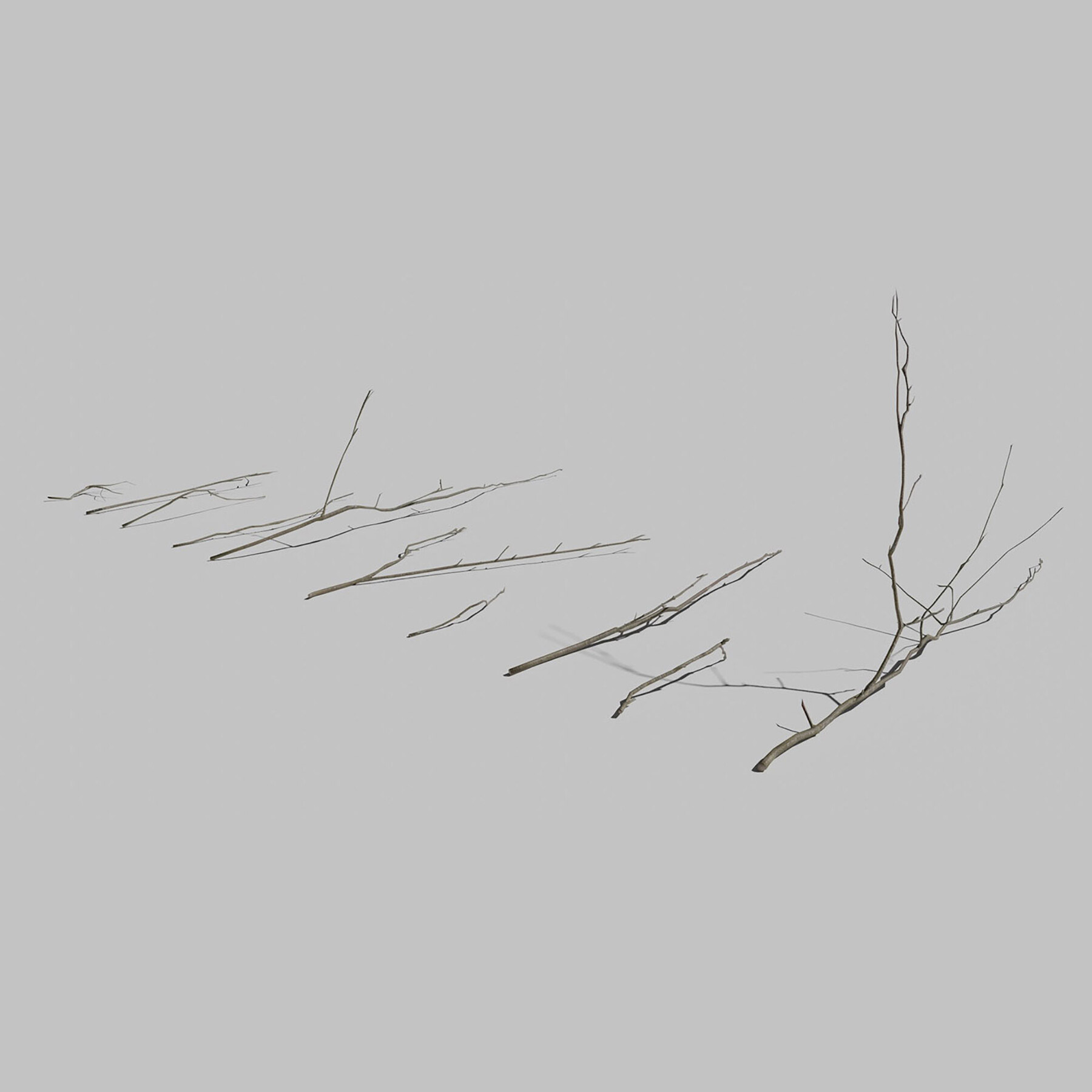 ArtStation - Mountain Ash Twigs | Resources