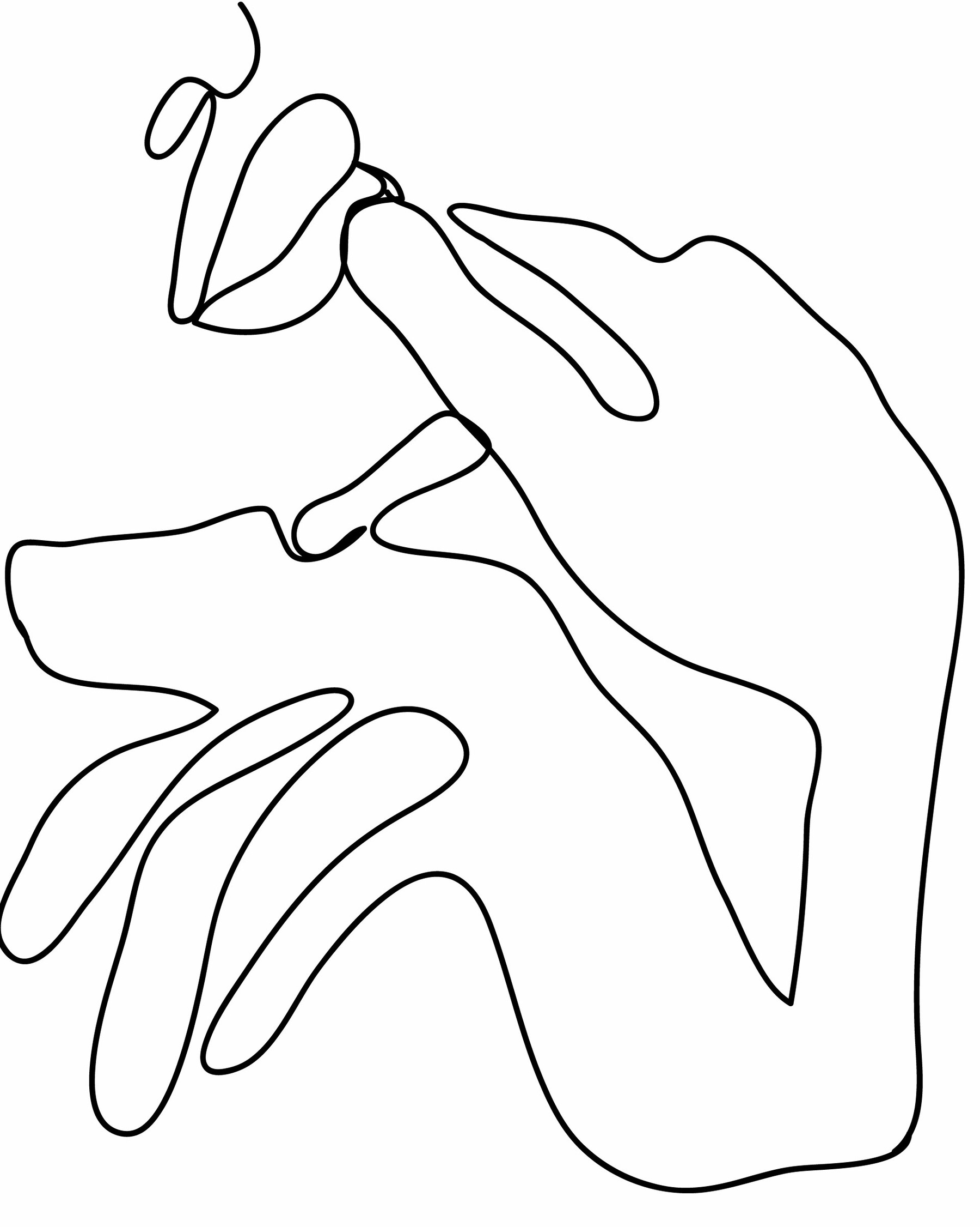 ArtStation - Continuous Line Drawing | Artworks