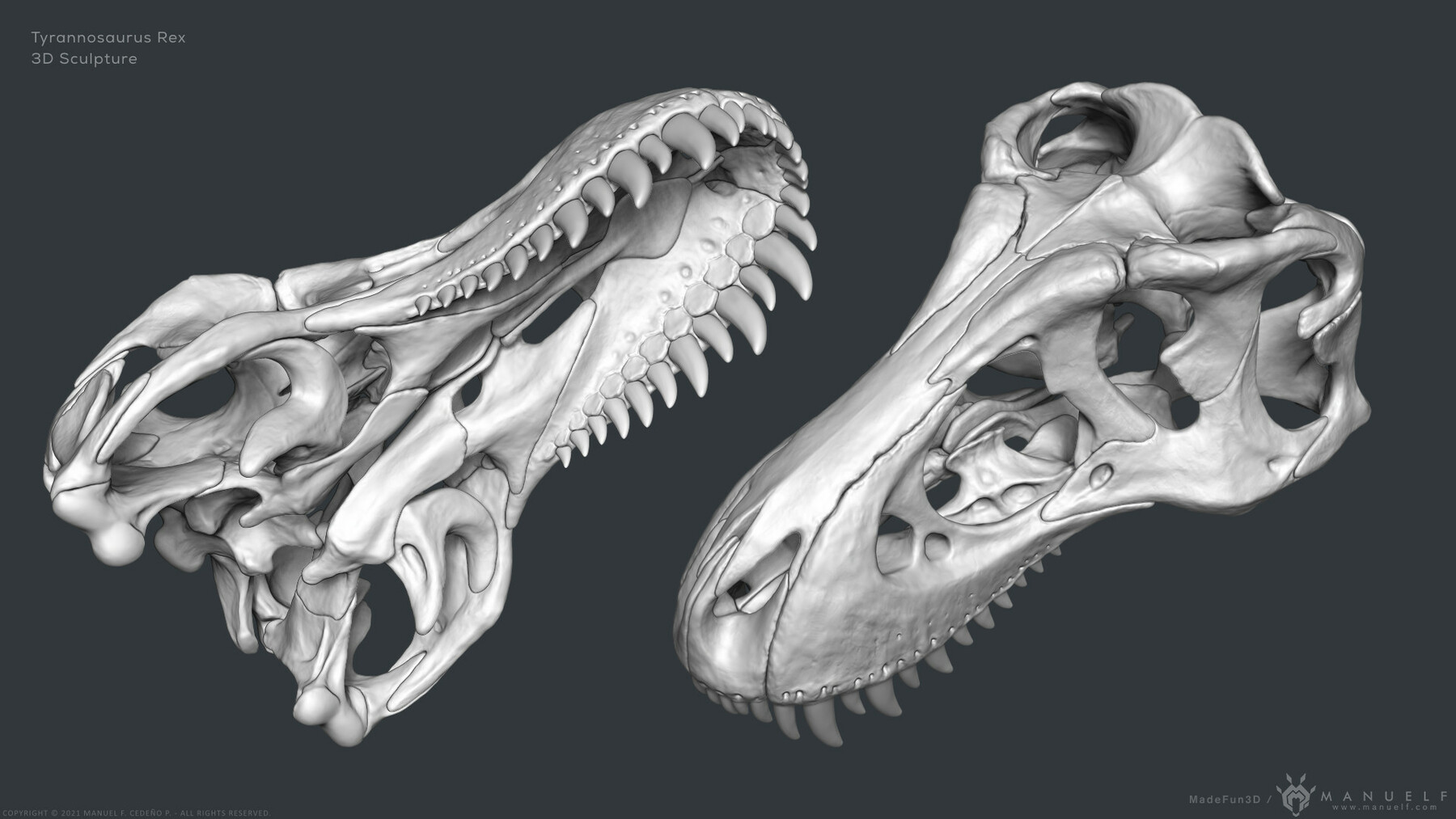 ArtStation - Tyrannosaurus Rex T-rex Skull Bones Sculpture | Game Assets