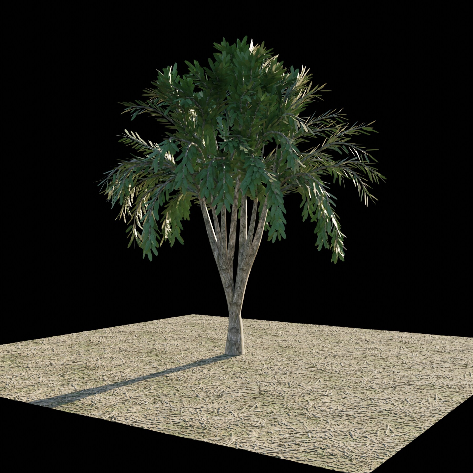 ArtStation - Tree 2 | Game Assets