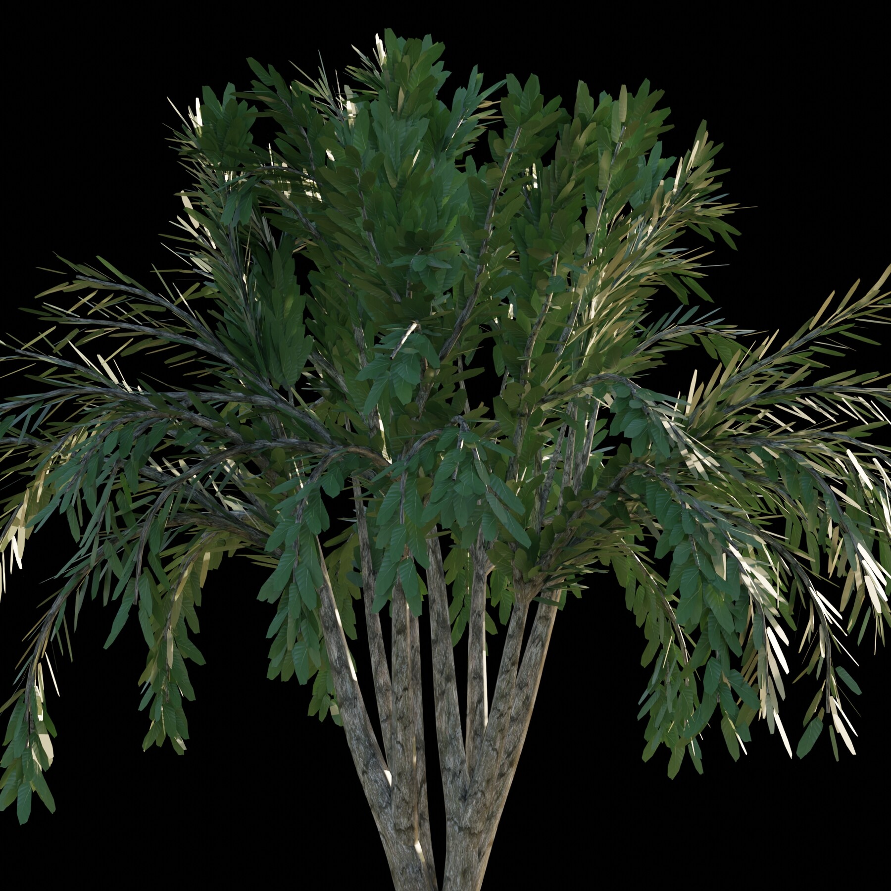 ArtStation - Tree 2 | Game Assets