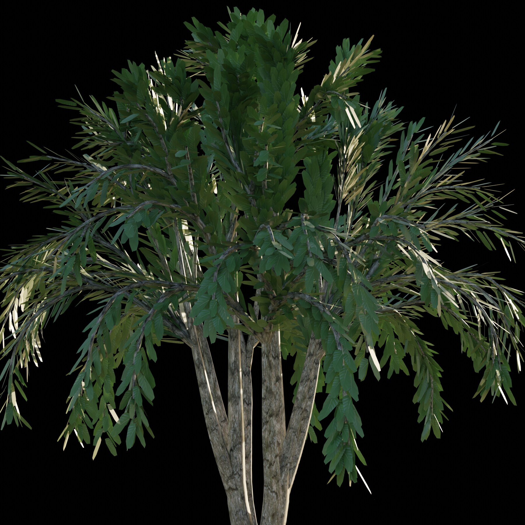 ArtStation - Tree 2 | Game Assets