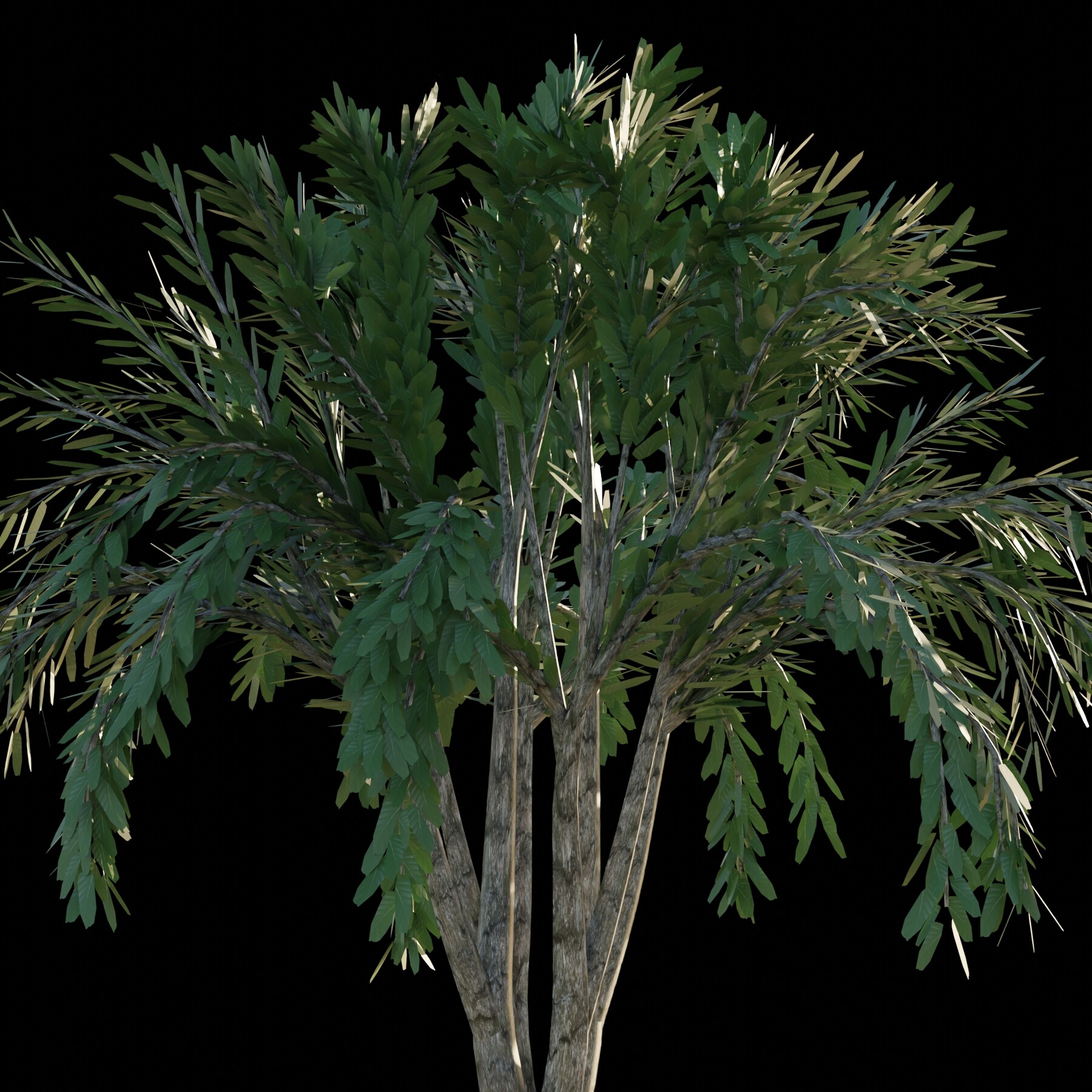 ArtStation - Tree 2 | Game Assets