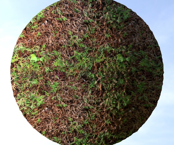 ArtStation - Hedge 4 PBR Material | Game Assets