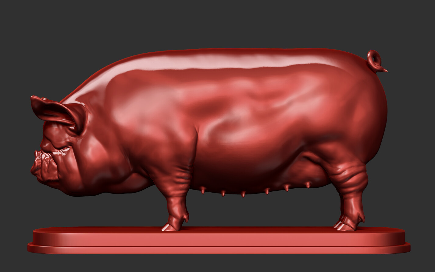 ArtStation - Middle White Pig | Resources