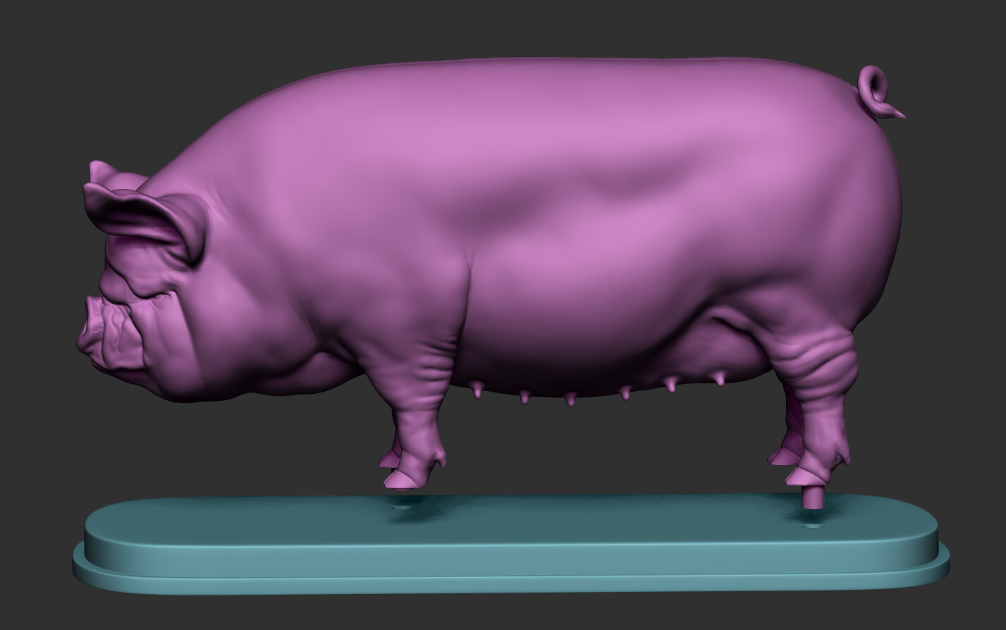 ArtStation - Middle White Pig | Resources