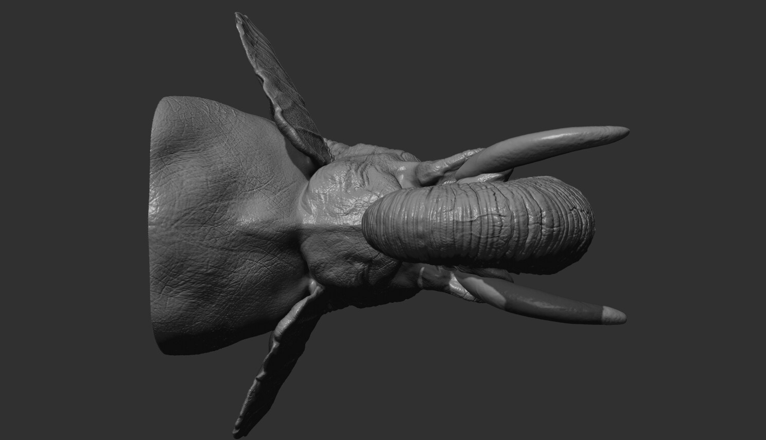 ArtStation - Elephant head | Resources