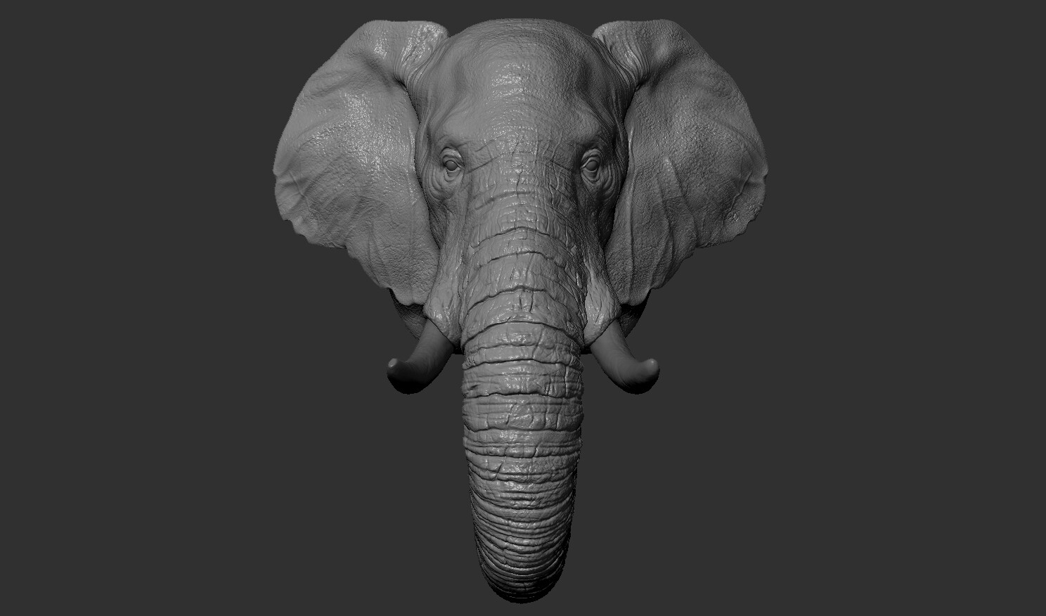 ArtStation - Elephant head | Resources