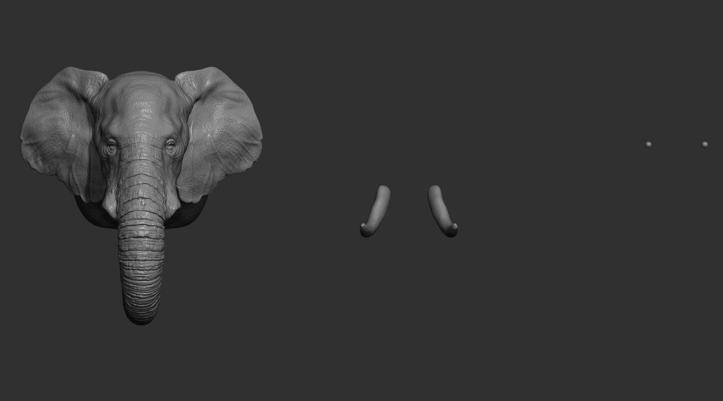 ArtStation - Elephant head | Resources