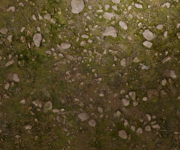 ArtStation - Woodland Terrain Texture | Game Assets