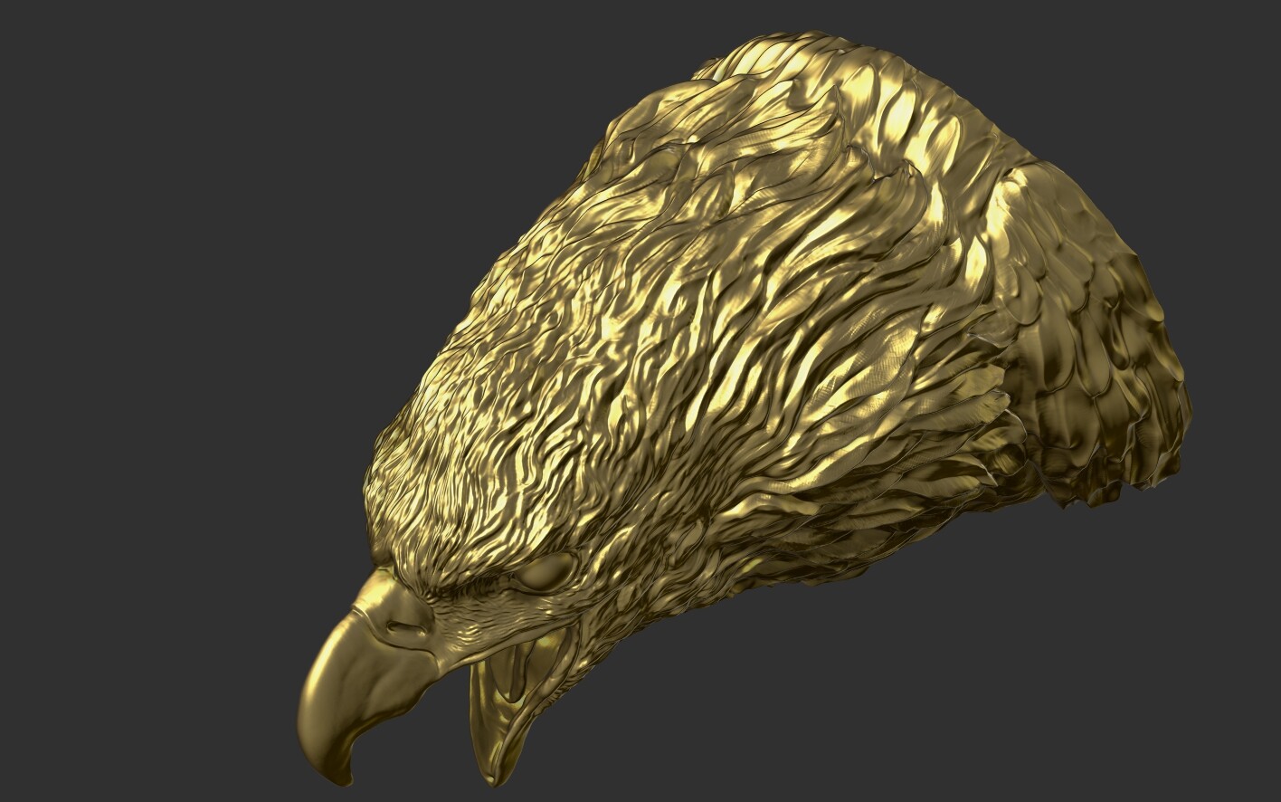 ArtStation - Bald Eagle head | Resources