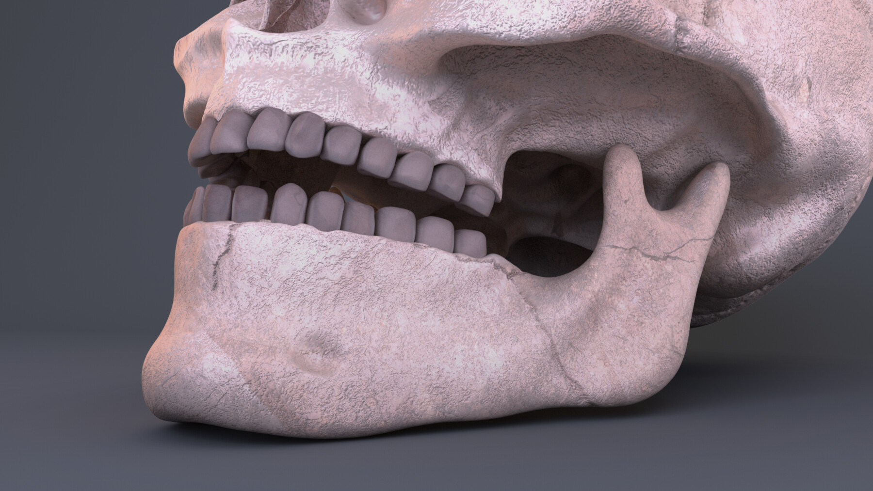 ArtStation - Skull | Game Assets