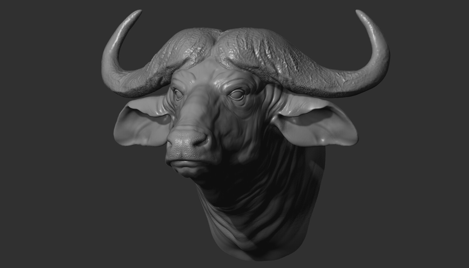 ArtStation - Buffalo head | Resources