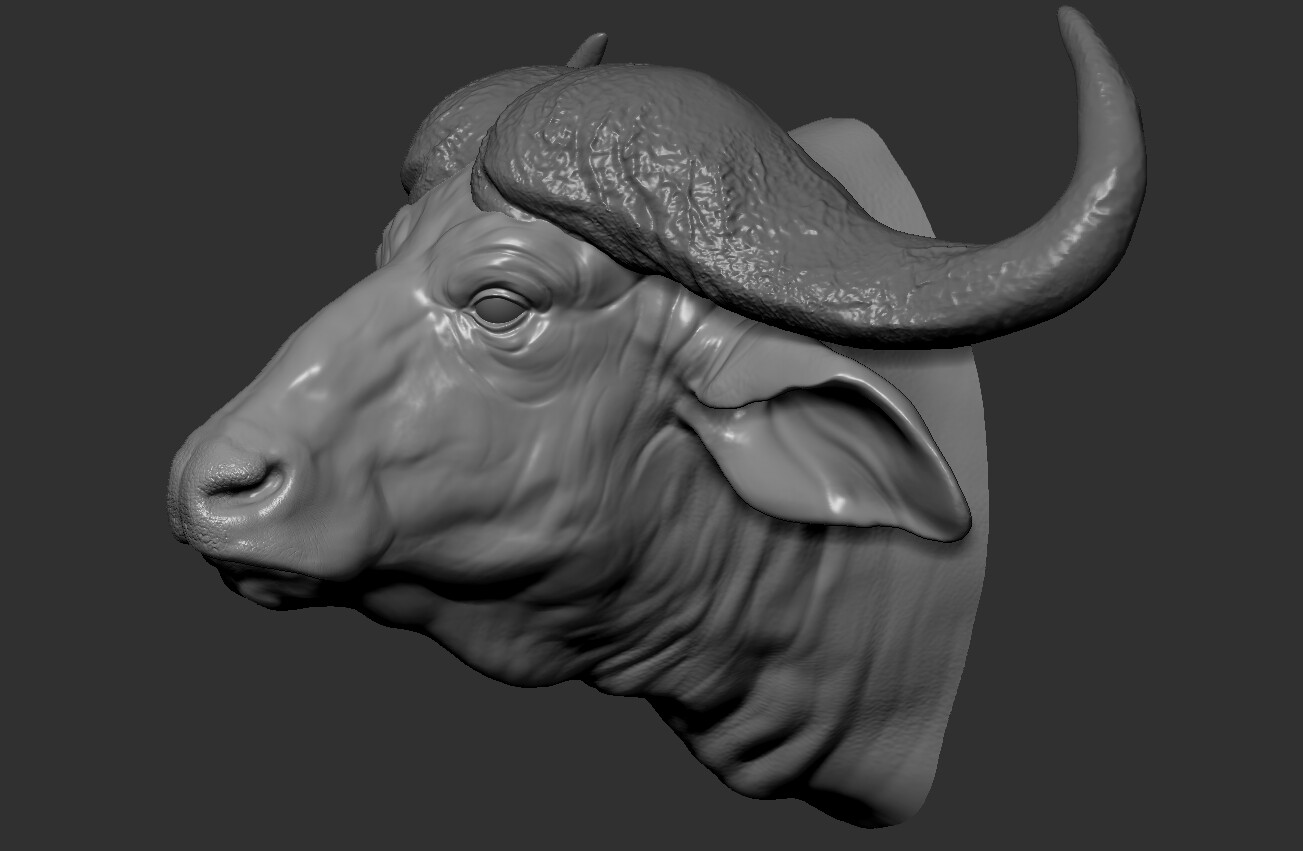 ArtStation - Buffalo head | Resources