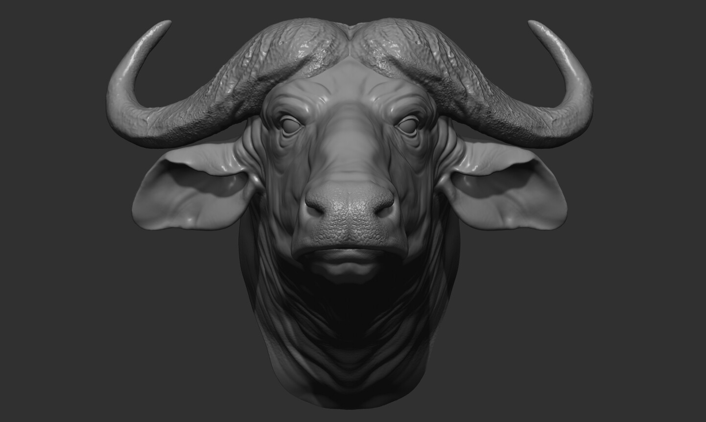 ArtStation - Buffalo head | Resources