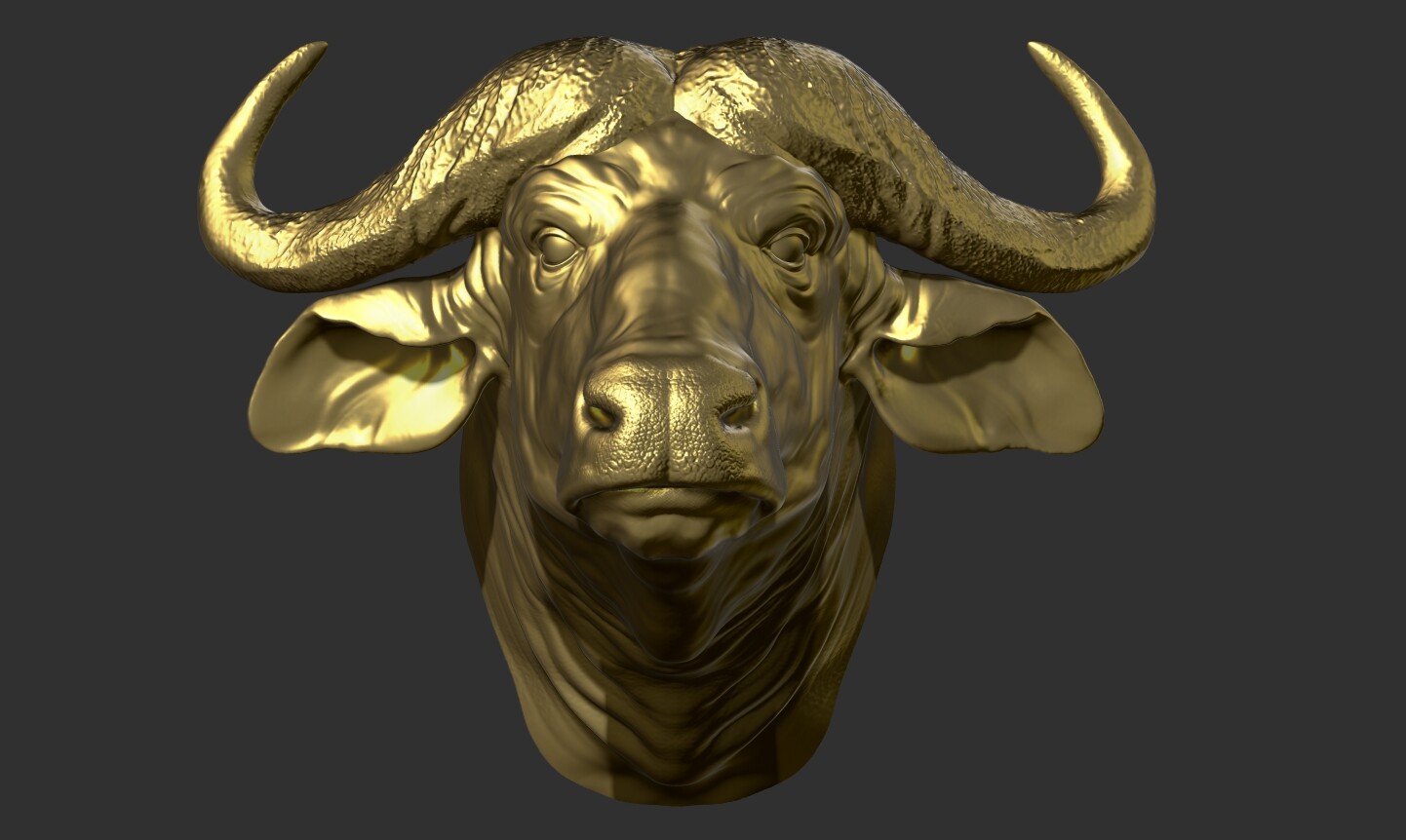 ArtStation - Buffalo head | Resources
