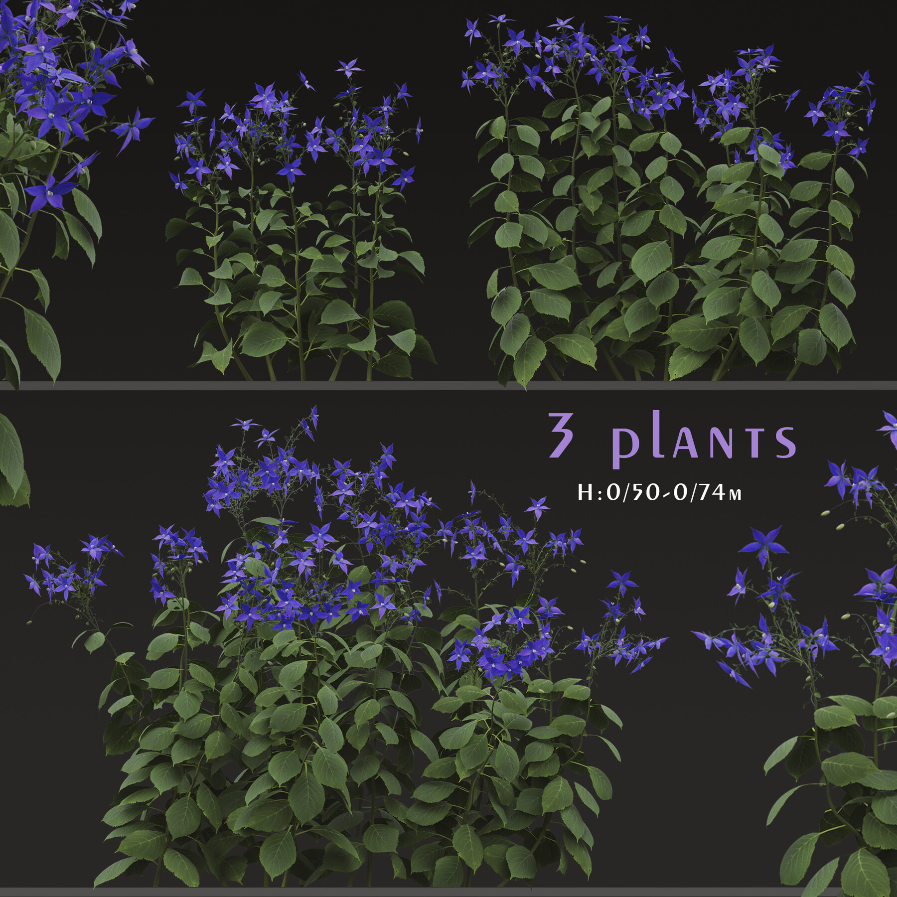 ArtStation - Set of Borago officinalis Plants (Starflower) (3 Plants ...