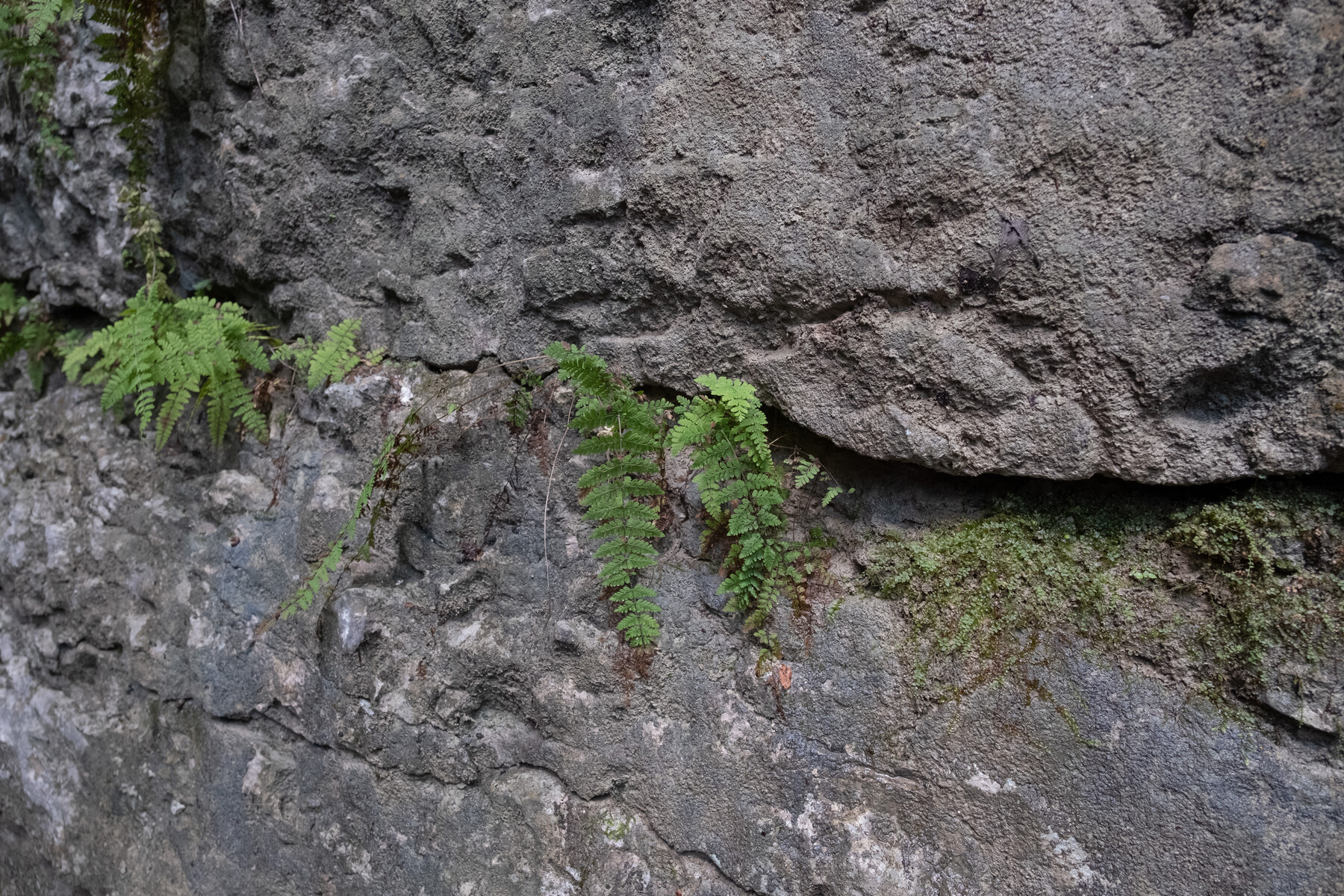 ArtStation - Alabama Rock Reference Photos | Resources