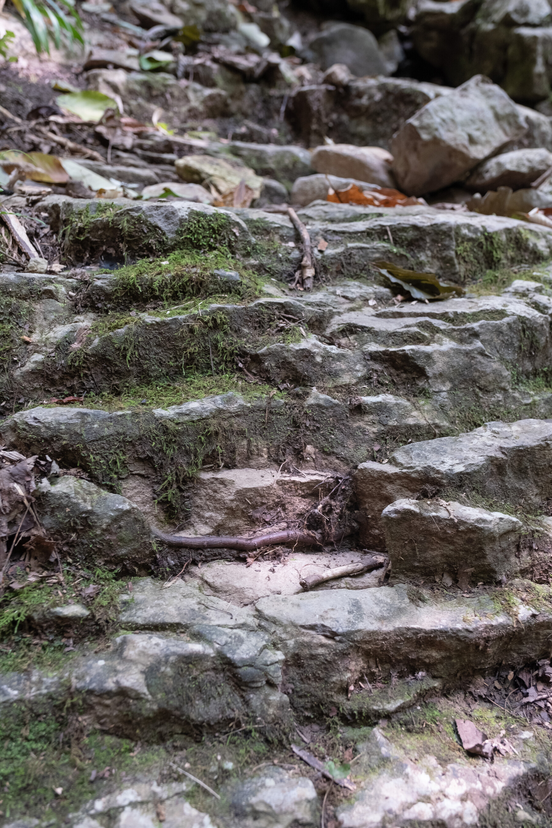 ArtStation - Alabama Rock Reference Photos | Resources