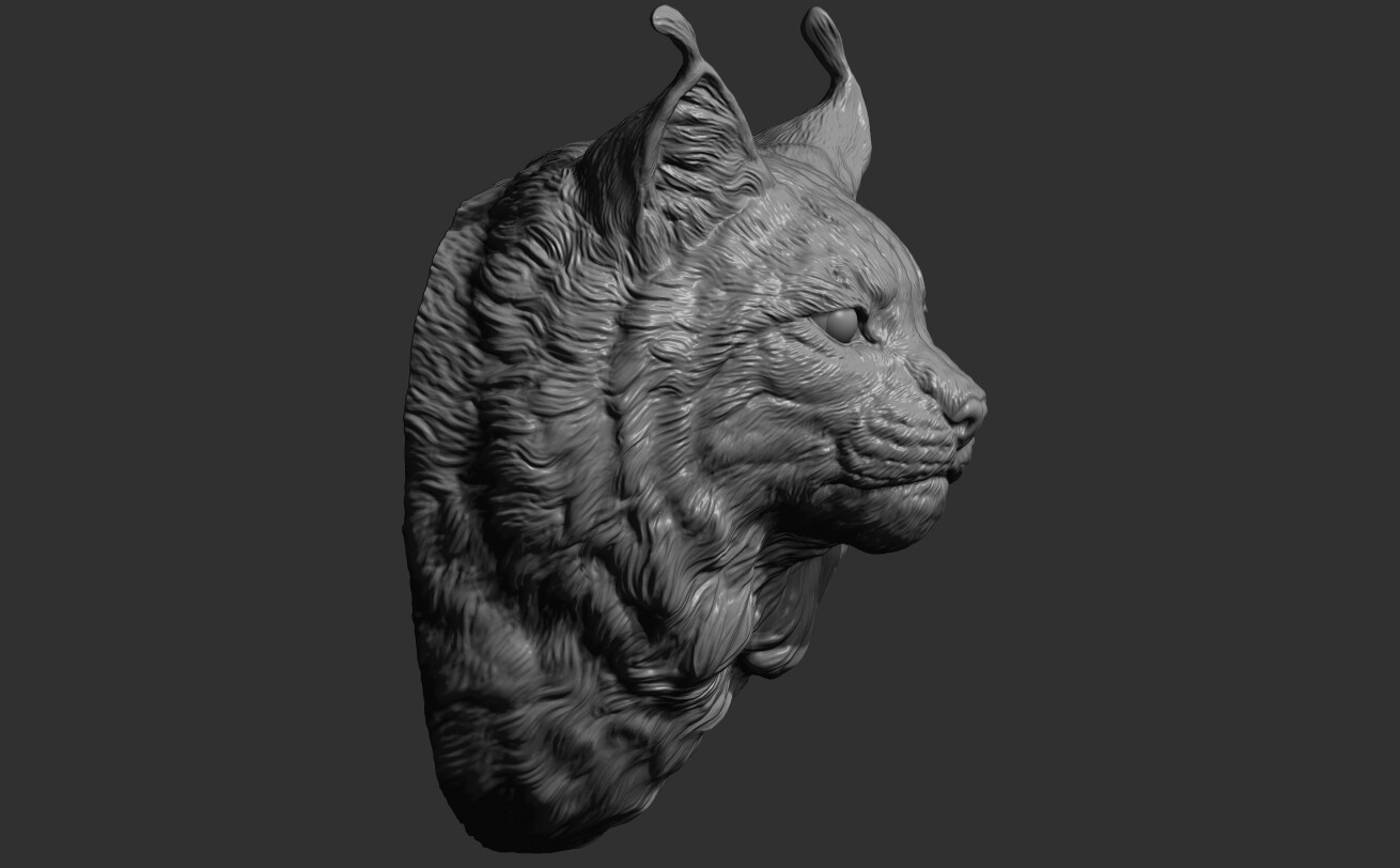 ArtStation - Lynx head | Resources