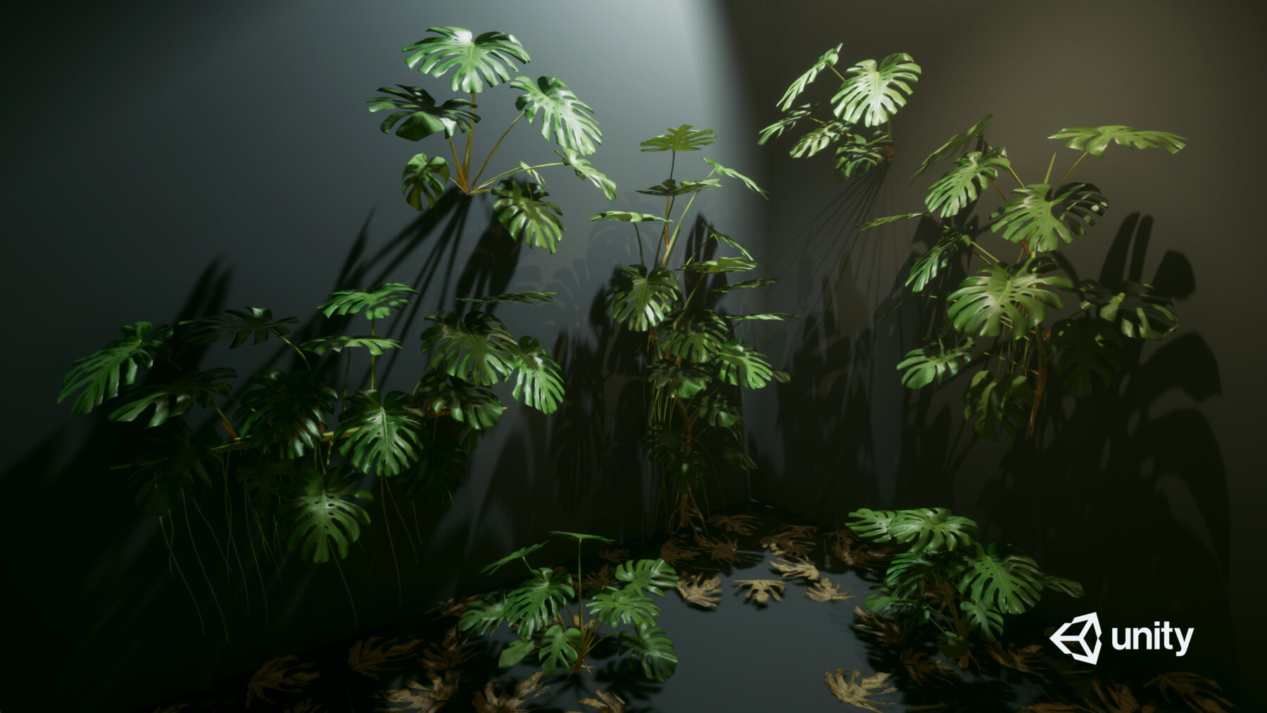 ArtStation - Monstera Deliciosa Plant | Game Assets