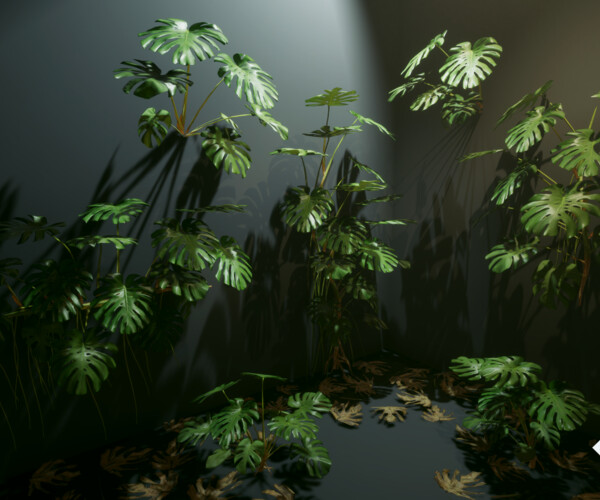 ArtStation - Monstera Deliciosa Plant | Game Assets