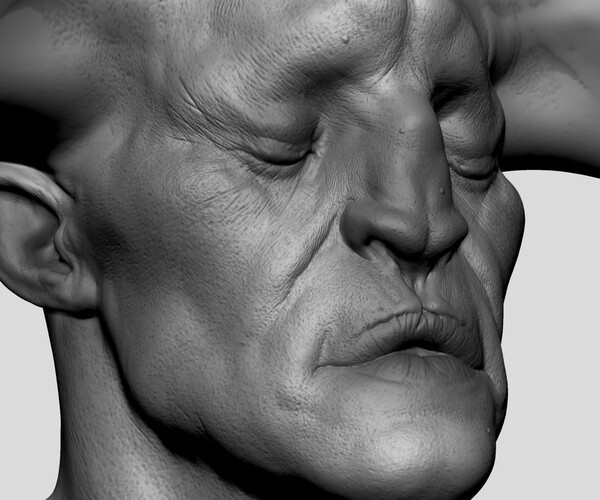 ArtStation - Creature Head 11 | Resources