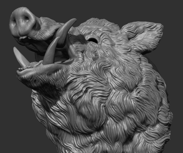 ArtStation - Wild boar hog | Resources