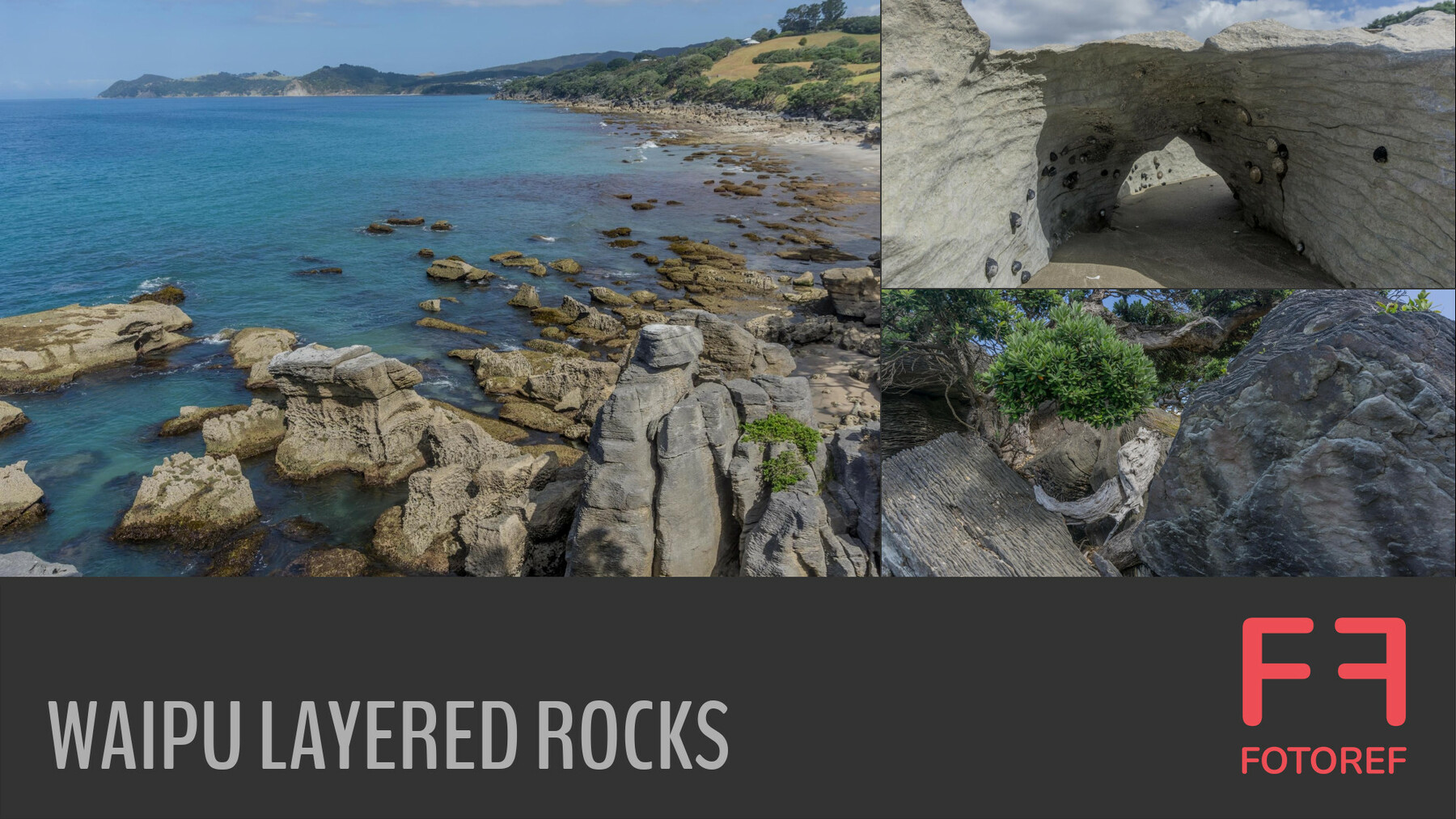 ArtStation - 259 photos of Waipu Layered Rocks | Resources