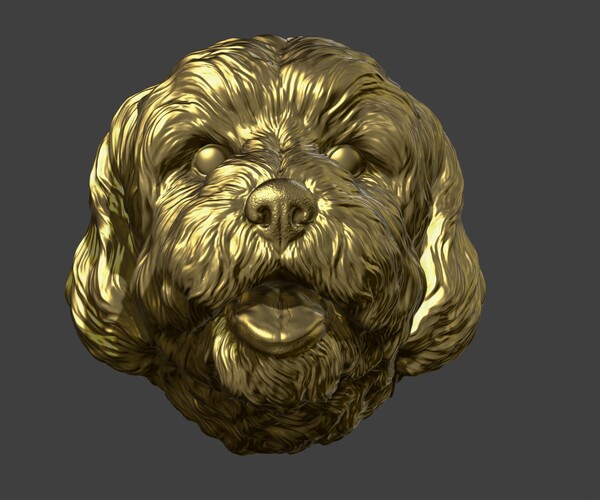 ArtStation - Lhasa Apso head dog | Resources