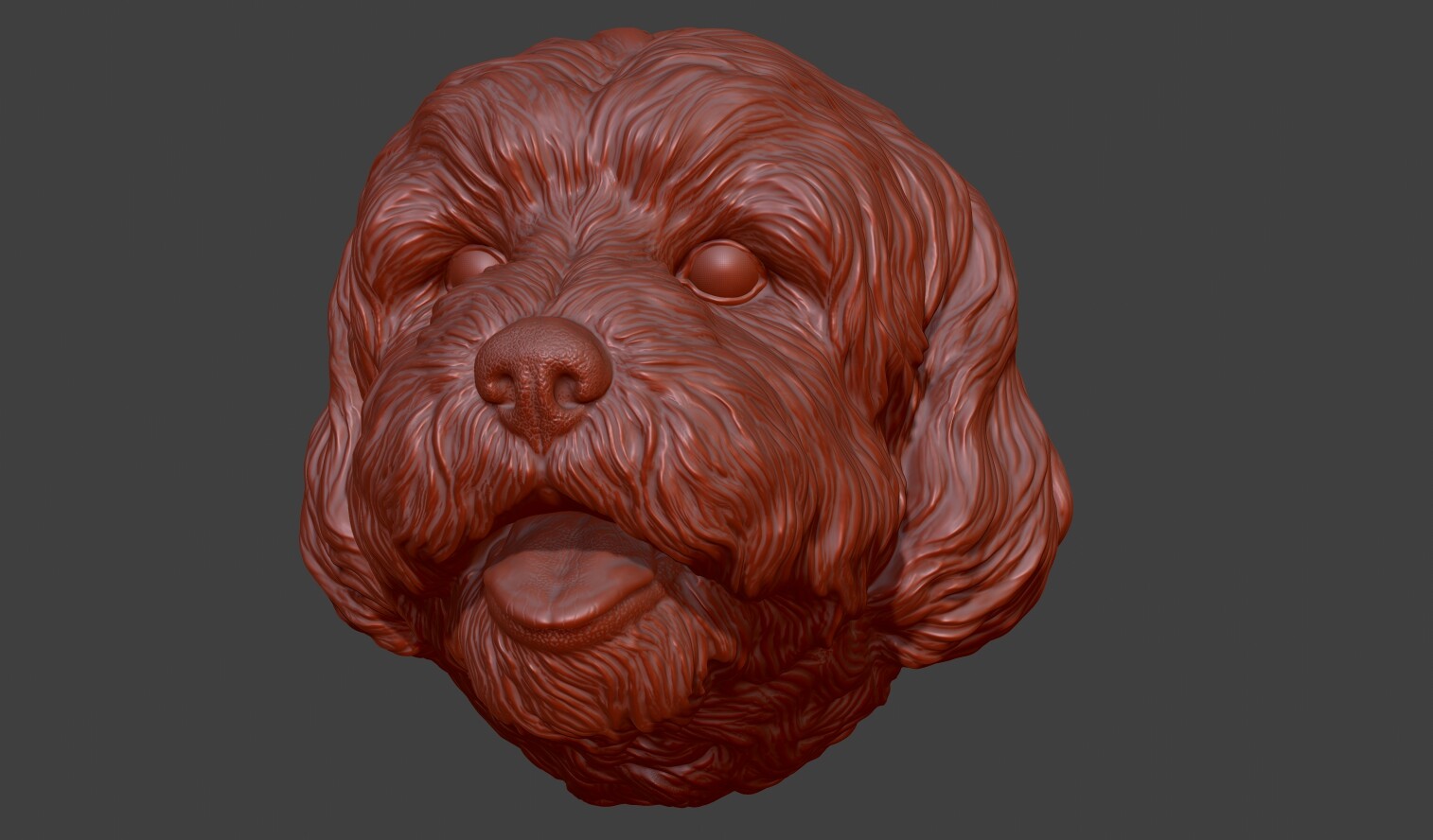 ArtStation - Lhasa Apso head dog | Resources