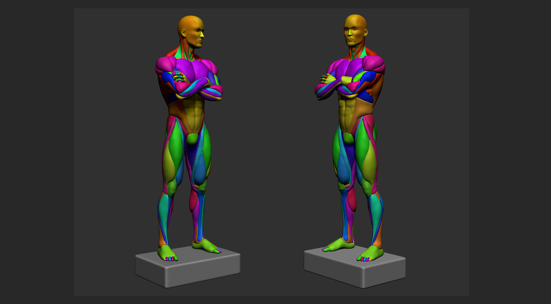 ArtStation - Simplified MALE ANATOMY BASEMESH | Resources
