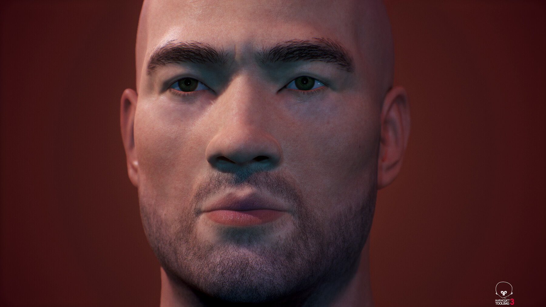 ArtStation - Head Pack - 01 | Game Assets