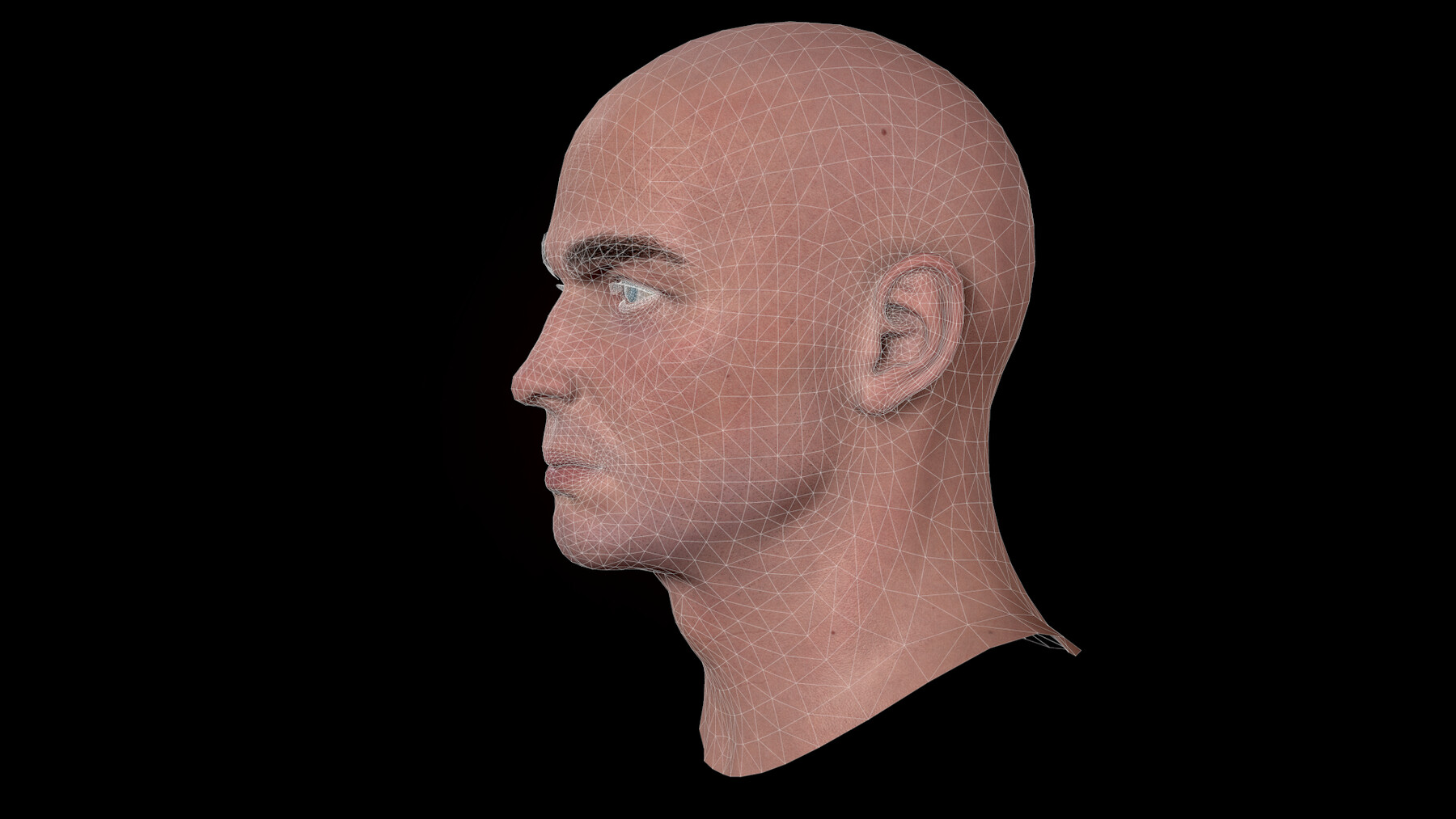 ArtStation - Head Pack - 02 | Game Assets