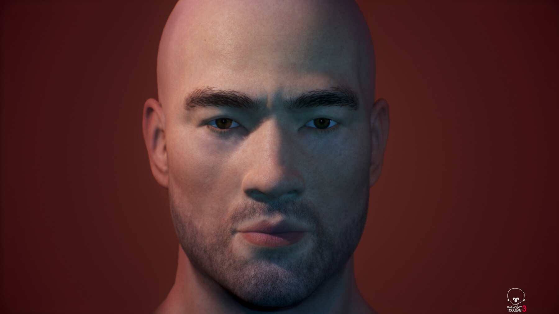 ArtStation - Head Pack - 02 | Game Assets