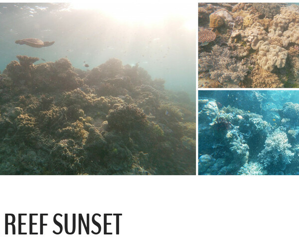ArtStation - 202 photos of Coral Reef Sunset | Resources