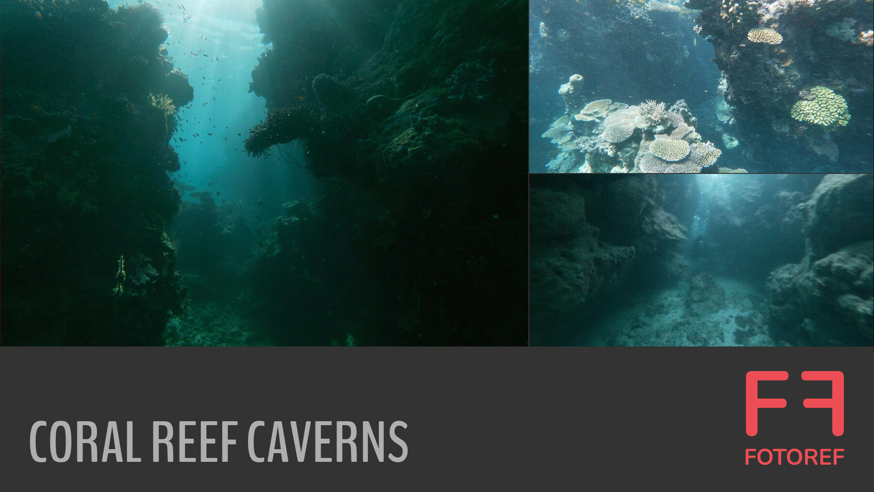 ArtStation - 182 photos of Coral Reef Caverns | Resources