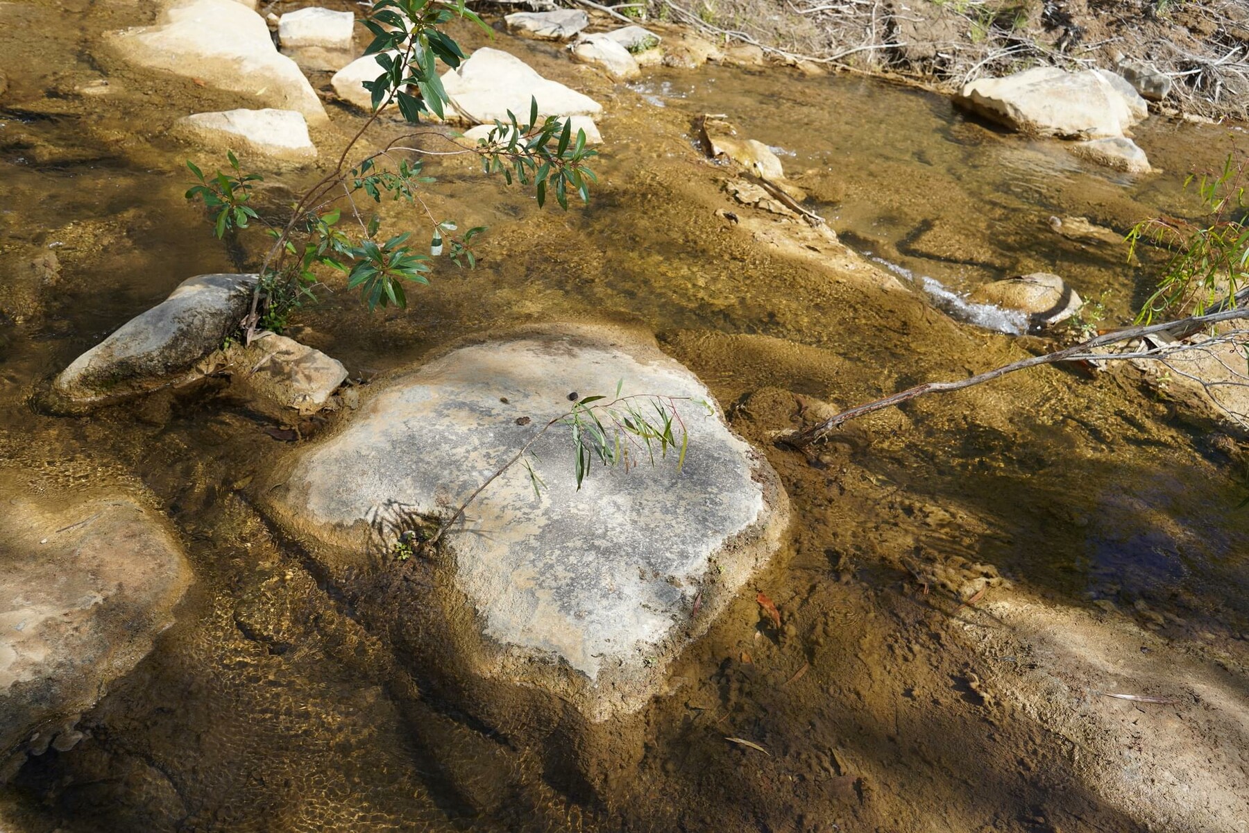ArtStation - 52 photos of Water Stream Drying Out | Resources