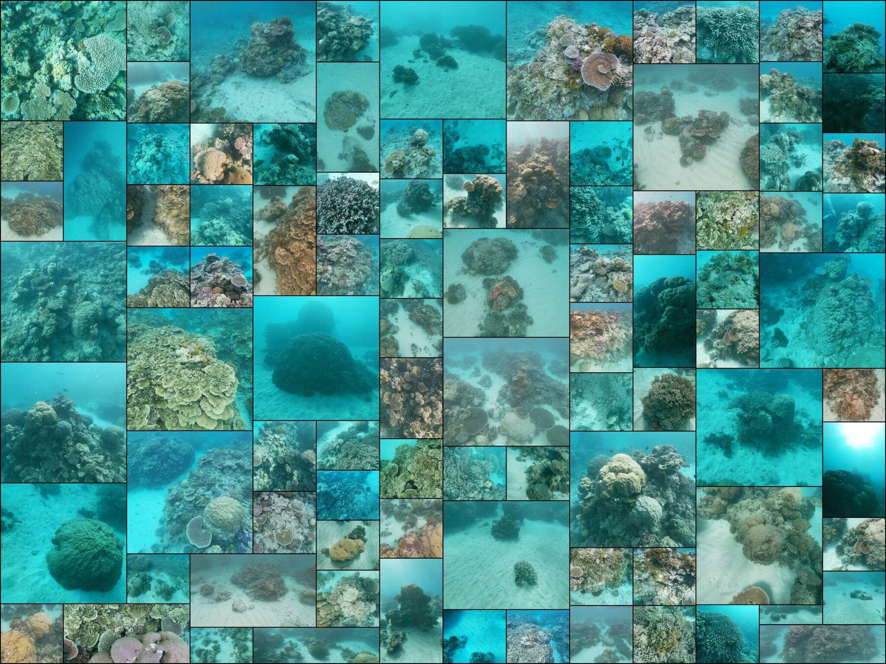 ArtStation - 377 photos of Great Barrier Coral Reef and Sandy Floor ...