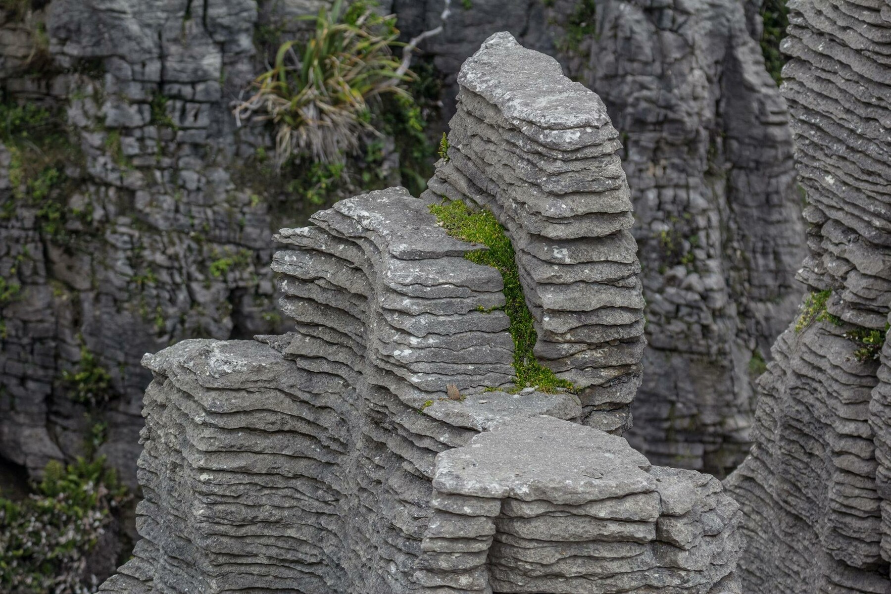 ArtStation - 810 photos of Pancake Layered Cliffs | Resources