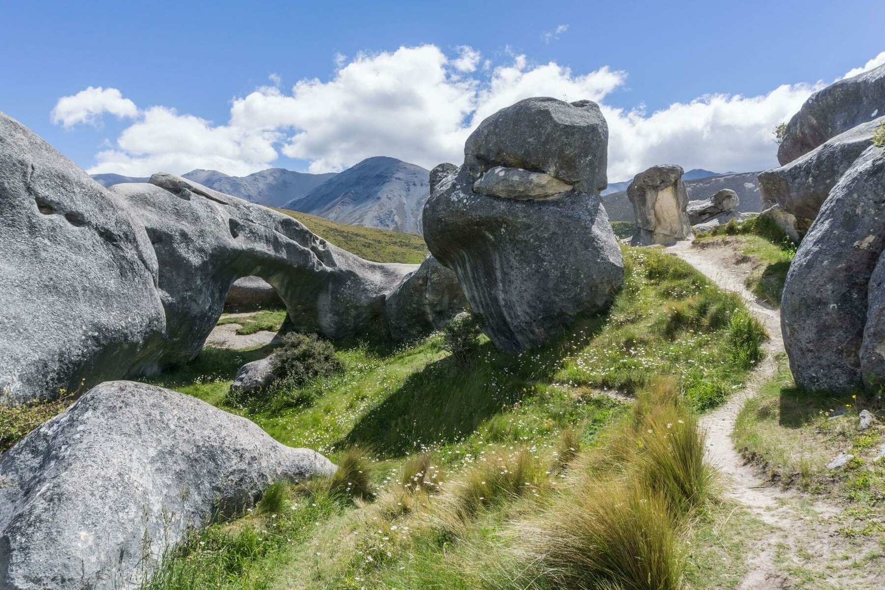 ArtStation - 583 photos of Huge Gray Torlesse Boulders | Resources
