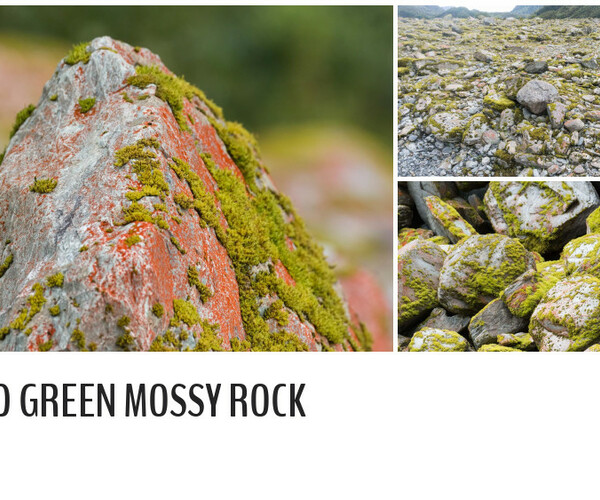 ArtStation - 134 photos of Red and Green Mossy Rock Valley | Resources