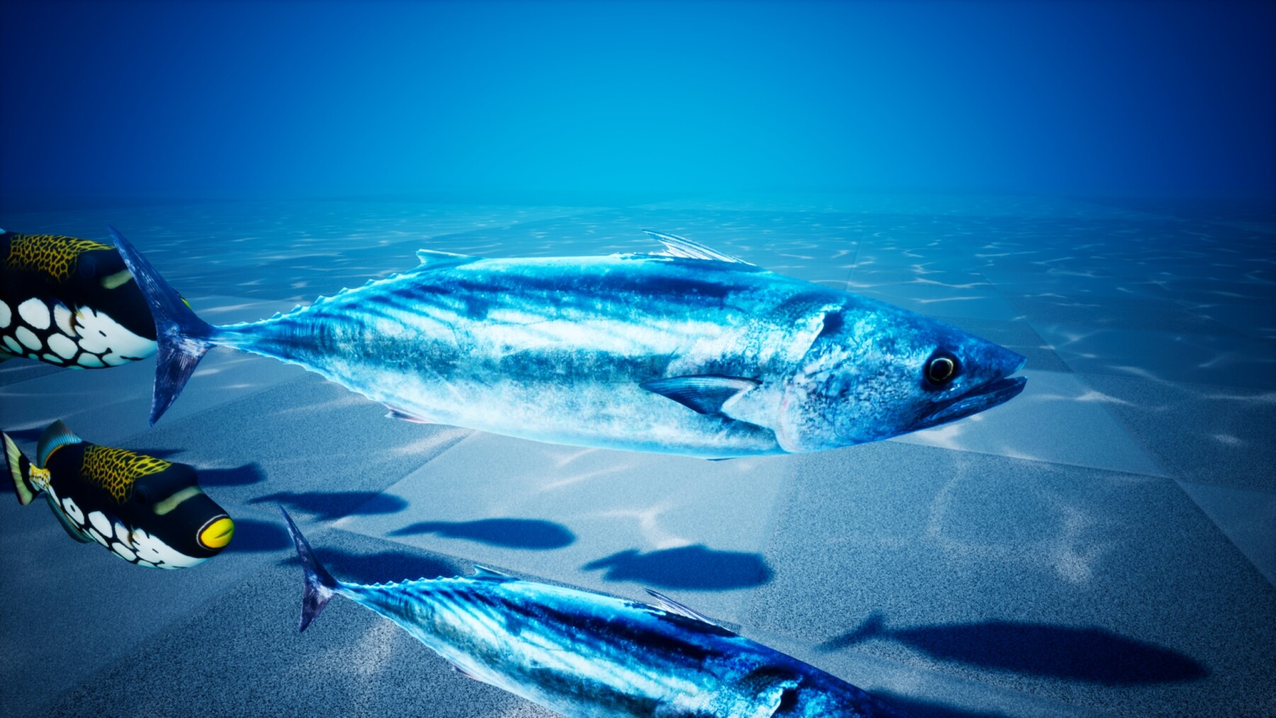 ArtStation - Fish for School System 2 UE4 | Game Assets