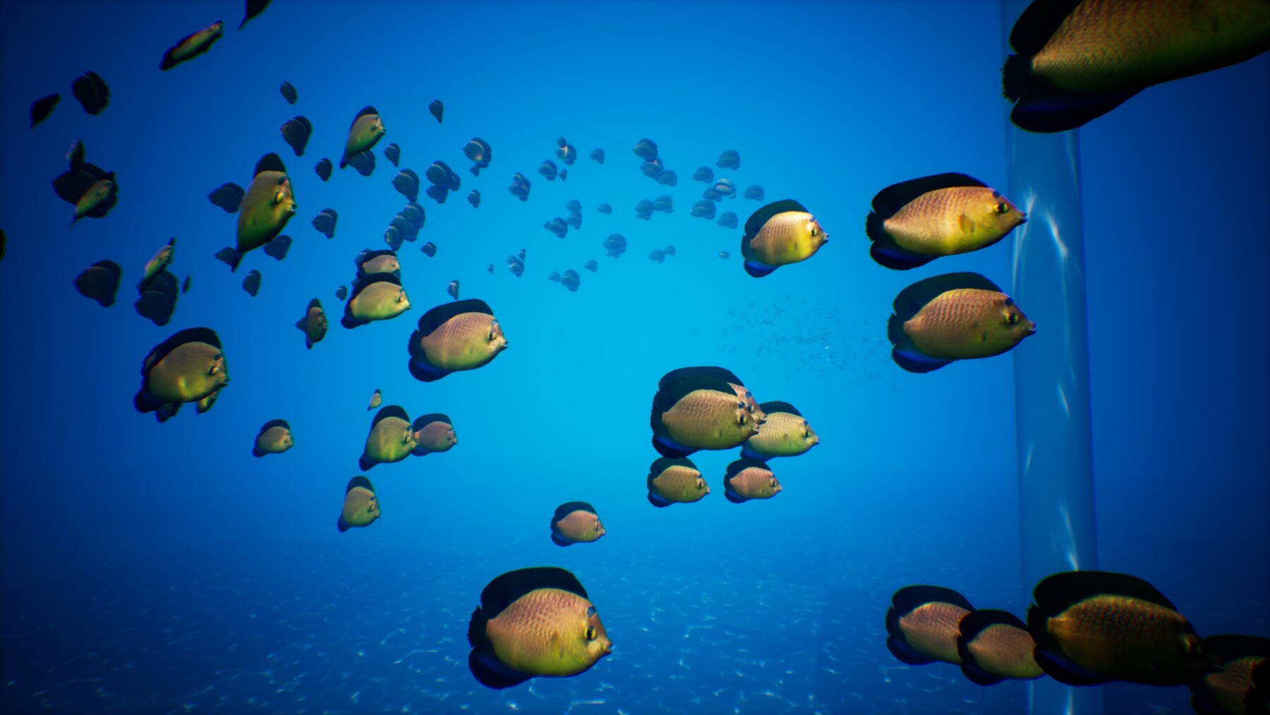 ArtStation - Fish School System V1 UE4 | Game Assets