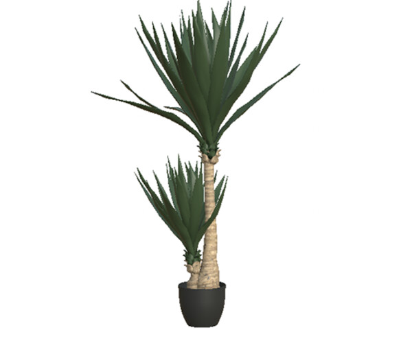 ArtStation - YUCCA TREE | Resources