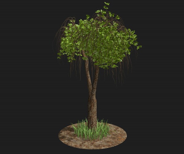 ArtStation - Fairy tree 2 | Resources