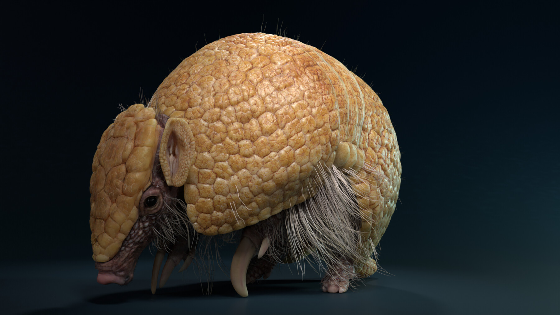 ArtStation - 3D Animal | Armadillo Animated | VFX Grace | Game Assets